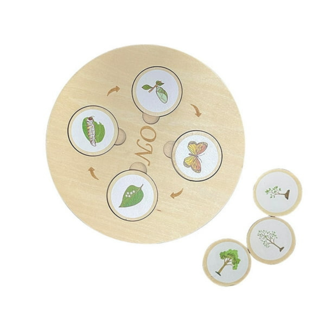 Life Cycle Board – Hi5Toys